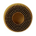 3M Scotch-Brite Roloc Bristle Disc 07525, 2 In X 5/8 Tapered Med, 10Pk ...