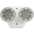 Hubbell Lighting Hubbell Indoor Double Head Remote LED Fixture, 120 ...