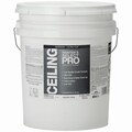 True Value Ceiling Paint 400CBW-5G | Zoro