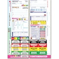 Disaster Management Systems All Risk Triage Tags Florida 50 Count DMS ...