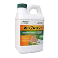 American Hydro Systems Rid O' Rust Extreme Water Rust Preventer, 1/2 ...
