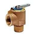 Watts BOILER VALVE 3/4"" MPT M335M2-030 | Zoro