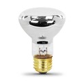 Feit Electric Pool Bulb, Halogen, 100 Watt, R20, PK25 100R20/S/25-12 | Zoro