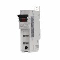 Eaton Bussmann CCP Base, 1 Pole, 30A Cf Panel Board CCPB-1-30CF | Zoro