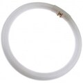Ilc Replacement For LIGHT BULB LAMP, FC22T5DG10Q FC22T5/D/G10Q | Zoro