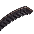Mitsuboshi Raw Edged Cogged V-Belt C Type, 7/8" x 255" CX255 | Zoro