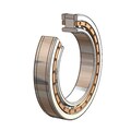 Scheerer Bearing 10653-SP CYLINDRICAL ROLLER BRG, 13 ID, 22 OD, 5.5625 ...