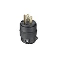 Leviton Electrical Plugs Eb Plug Dead Front 2Po 3Wi 515PR | Zoro