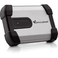 Datalocker Basic H350 Ssd 500Gb DL-H350-0500SSD-B | Zoro