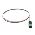 Panduit OS2 12F RIB ASSEMBLY MPO FEM TO PEA F9TCN5NNNSNM001 | Zoro