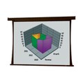 Draper Premier Motorized Screen 101058 | Zoro