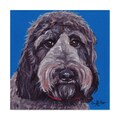Trademark Fine Art Hippie Hound Studios 'Labradoodle Black On Blue ...