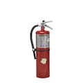 Buckeye 10 lb. ABC, Fire Extinguisher, 11340 11340 | Zoro