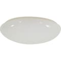 Intense 14 in. Shallow Dome Diffuser - White IN2563259 | Zoro