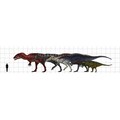 Stocktrek Images StockTrek Images PSTVVA600002P Carcharodontosauridae ...