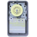Intermatic Intermatic Inc 601541 Timer 24-Hour Spst T101R 601541 | Zoro