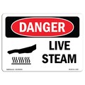 Signmission Safety Sign, OSHA Danger, 10" Height, Aluminum, Live Steam ...