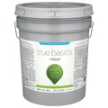 Valspar TRUE Basics 24550 Series Exterior Paint, Flat, Pastel Base, 5 ...
