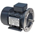 Marathon Motors 3-Phase Metric Motor, 1/4 HP, 63 Frame, 230/460 Voltage ...