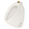 Toto Washout Urinal, ADA Compliant, 0.5 gpf Wall Hung UT104E#01 | Zoro