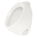 Toto Washout Urinal, ADA Compliant, 0.5 gpf Wall Hung UT104EV#01 | Zoro