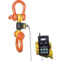 Ron Crane Scales Low Headroom Dynamometer, 4000 lb. RON 2000-S02CC | Zoro
