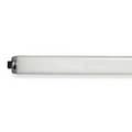 Current Fluorescent Lamp, T12, Daylight, 6500K F24T12/D/HO | Zoro