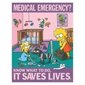 Safetyposter.Com Smpsns Sfty Poster, Medical Emergency, EN S1126LWS | Zoro