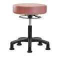 Blue Ridge Ergonomics Desk Mini-Stools, Vinyl, Glides, Mulb BR-VDHMS-RG ...