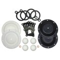 Sandpiper Repair Kit, PTFE, Fluid, For 1/4 In Pump 476.117.600 | Zoro