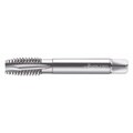 Walter Tap, M12-1.75, Taper, Metric Coarse, 3 Flutes, Bright A20360-M12 ...