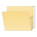 Tabbies File Folder End Tab Strip, White 55993 | Zoro