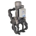 Edson Double Diaphragm Pump, Polypropylene, Neoprene, 110V/220V, 25 GPM ...