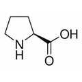 Sigma-Aldrich L-Proline, Contains 10g, CAS 147-85-3 81709-10G | Zoro