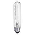 Signify Incandescent Lamp, T10 Bulb Shape, 25W BC-25T10 6/1 TP | Zoro