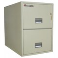 Sentry Safe 2 Drawer Fire-Resistant Filing Cabinet, Putty, Legal ...