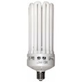 Lumapro LUMAPRO 150W, 8U Screw-In Fluorescent Light Bulb 5MPX3 | Zoro