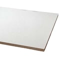 Armstrong Clean Room Ceiling Tile, 24 in W x 24 in L, Square Lay-In, 15 ...