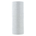 Trident Filter Cartridge, 7 gpm, 1 Micron, 2-1/2" O.D., 9 7/8 in H ...