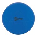 Champion Sports FitPro Training/Exercise Ball, 95cm Blu FP95 | Zoro
