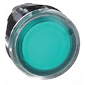Schneider Electric Illuminated Push Button Operator, 22 mm, Green ...