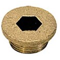 Legris Brass Internal Hex Head Plug with Collar, Metric 0202 65 00 | Zoro