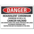 Lyle Hexavalent Chromium Danger Reflective Label, 7 in Height, 10 in ...