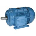 Weg 3-Phase Metric Motor, 5-1/2 HP, 132M Frame, 460 Voltage, 1165 ...