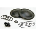 Pumper Parts Elastomer Kit, P4 1-1/2 In Pump Buna PP04-9554-52 | Zoro