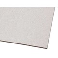 Armstrong World Industries Dune Acoustical Ceiling Tile, 24 in W x 48 ...
