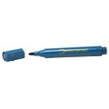 Detectamet Metal Detectable Permanent Marker, Red Color Family, 10 PK ...