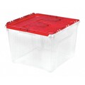 Iris Usa SEASONAL WING LID CONTAINER HOLIDAY, Cranberry Tint, 19.31 ...