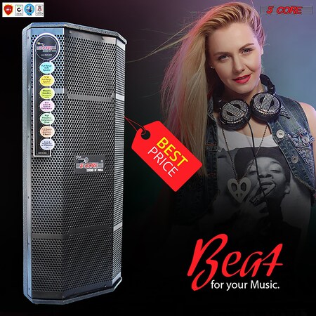 5 Core 5 Core Professional Paging Amplifier 400W High Powered AMP, 12V ...