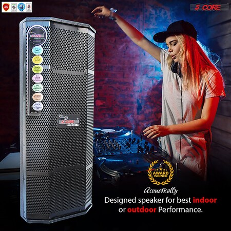 5 Core 5 Core Professional Paging Amplifier 400W High Powered AMP, 12V ...